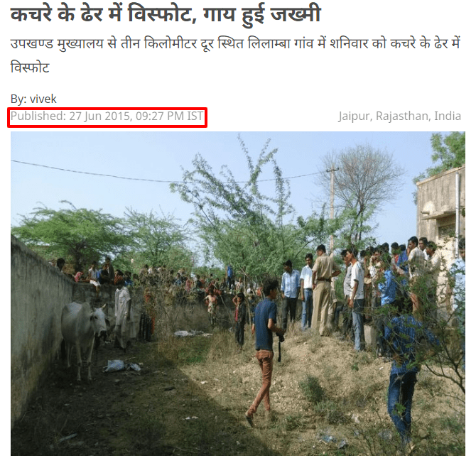 Old images of cow injured in explosion in Rajasthan shared as recent ...